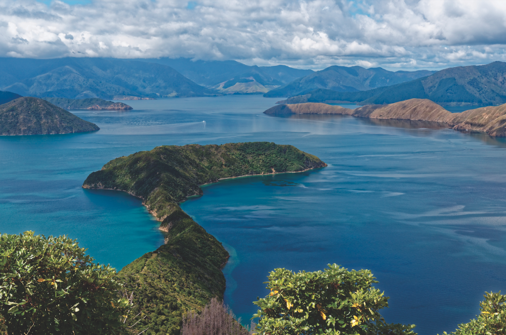 What's the secret to New Zealand's diverse Pinot Noirs?