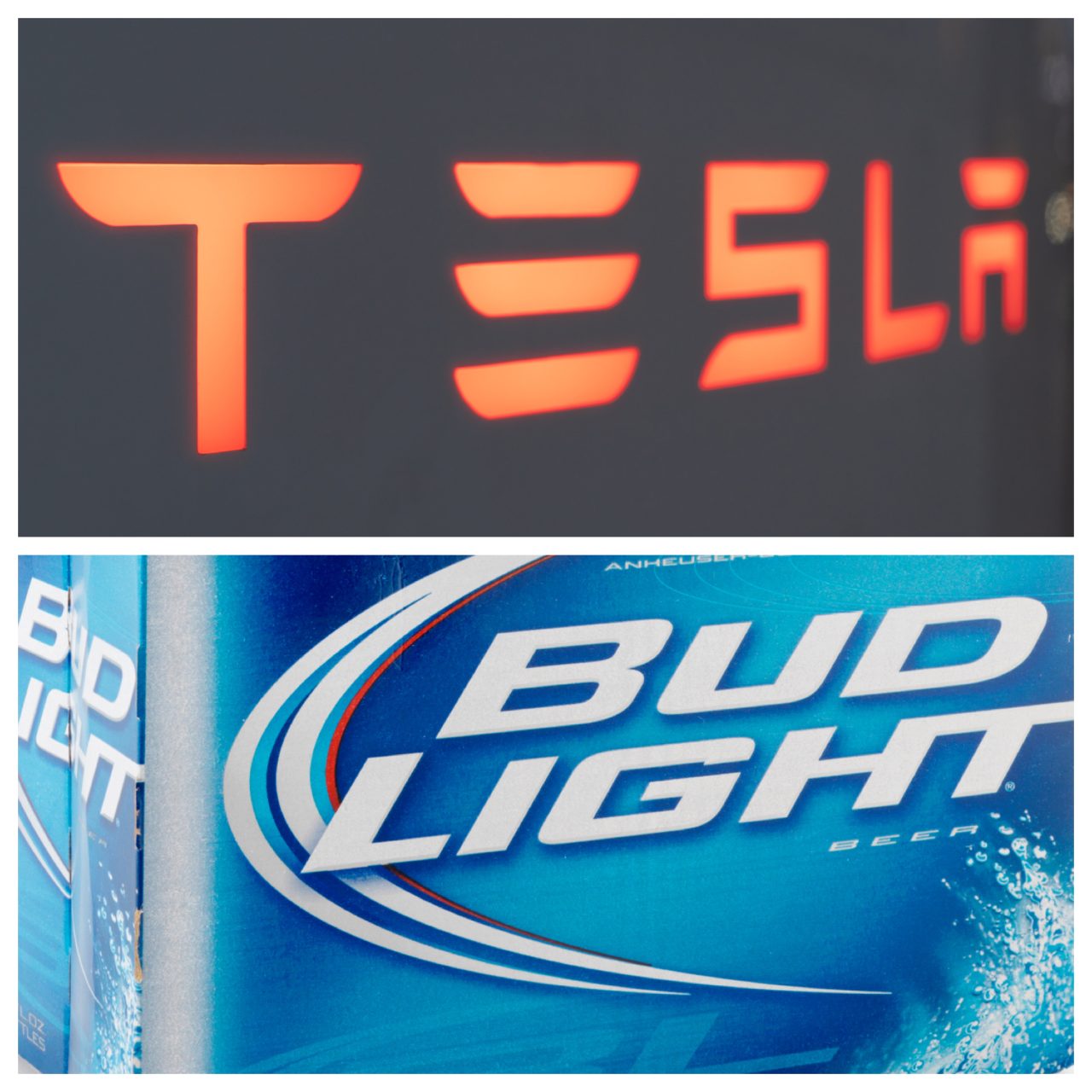 Could Elon Musk learn from the fall of Bud Light?