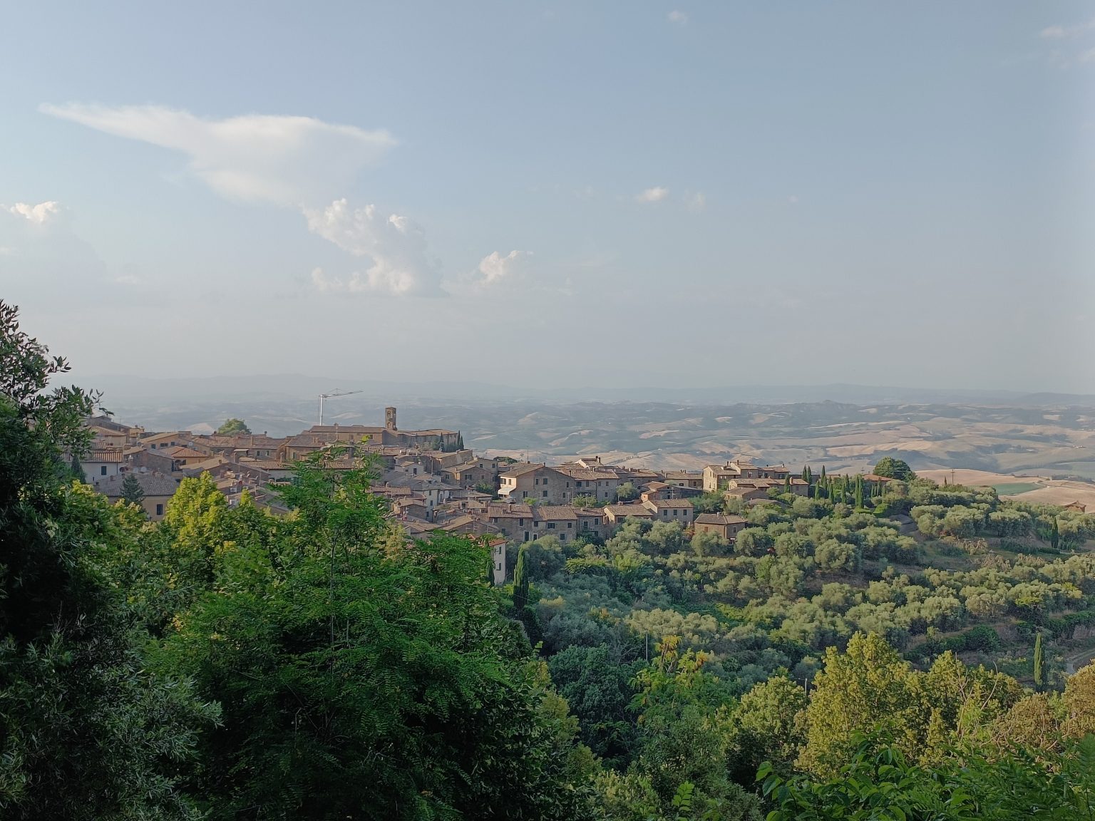 Highlights of the new releases from Brunello di Montalcino