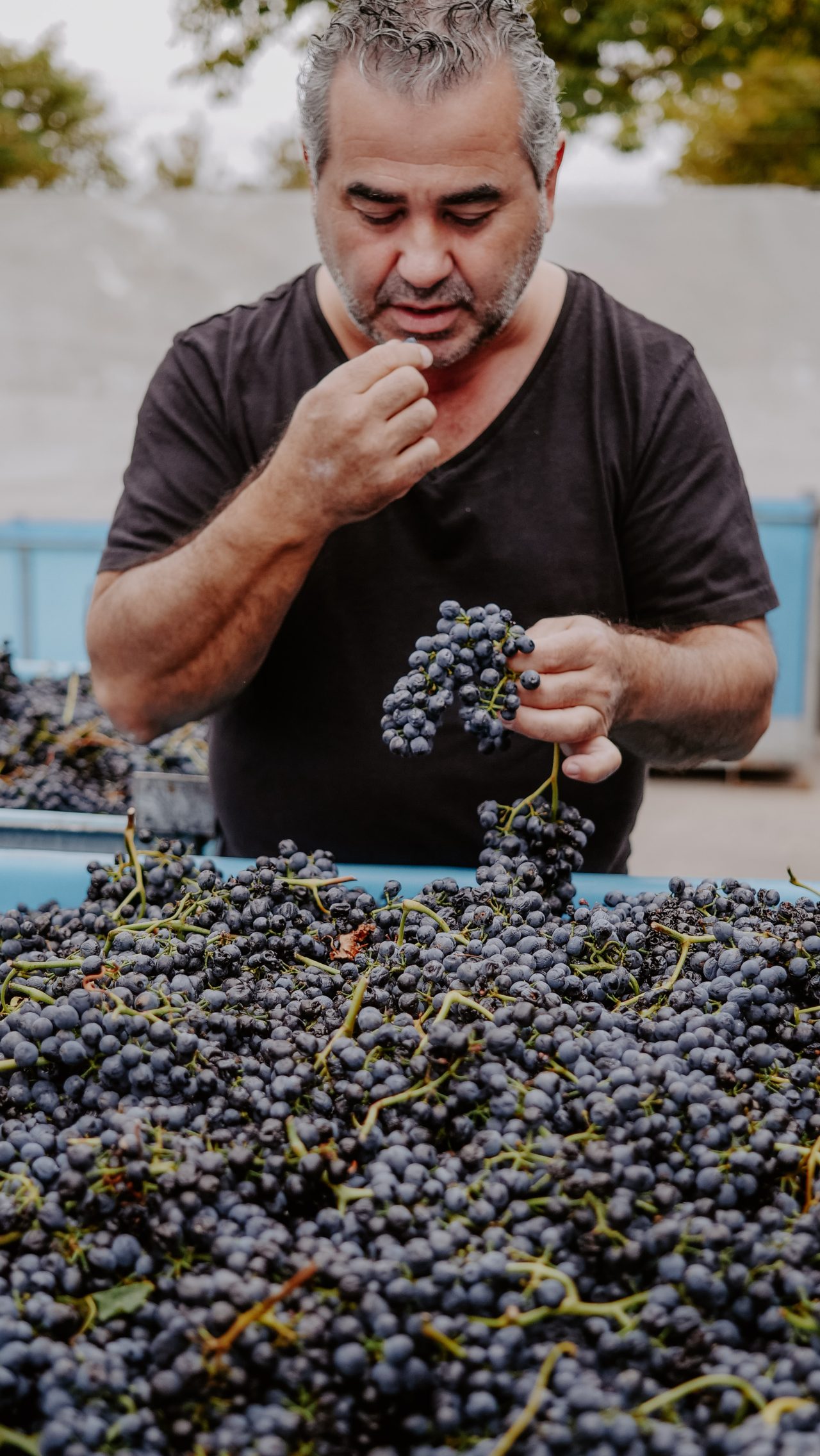 How important is the wine label?