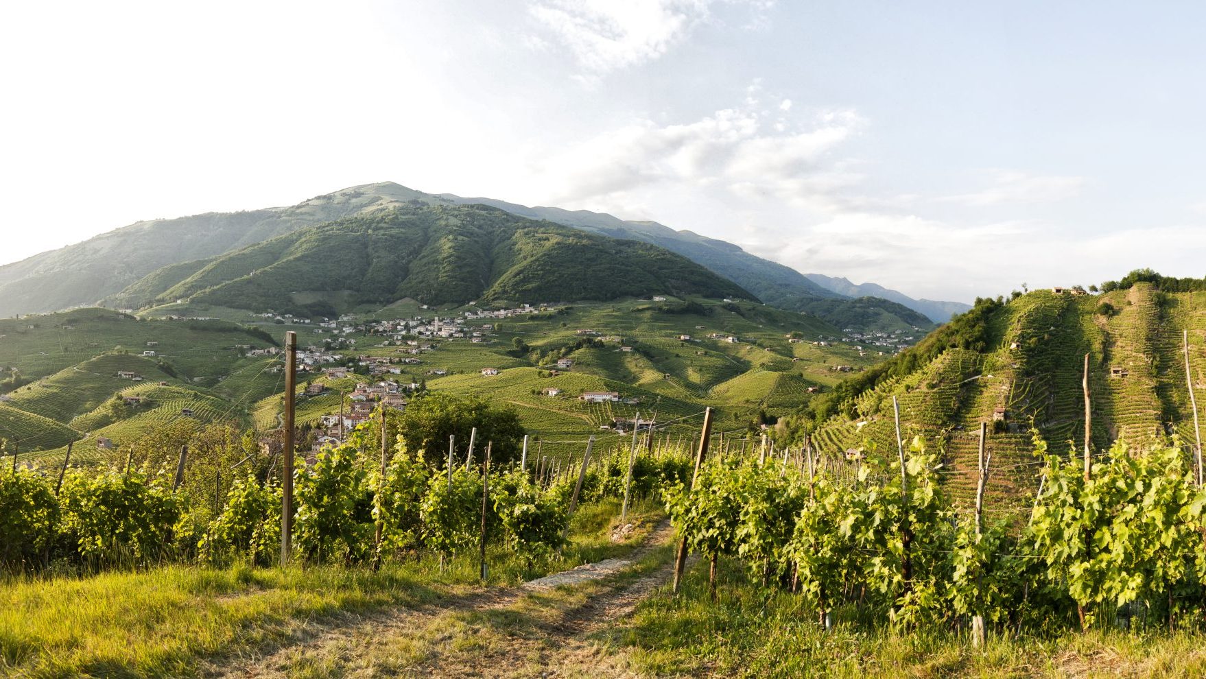 Heineken completes Distell and Namibia Breweries acquisition