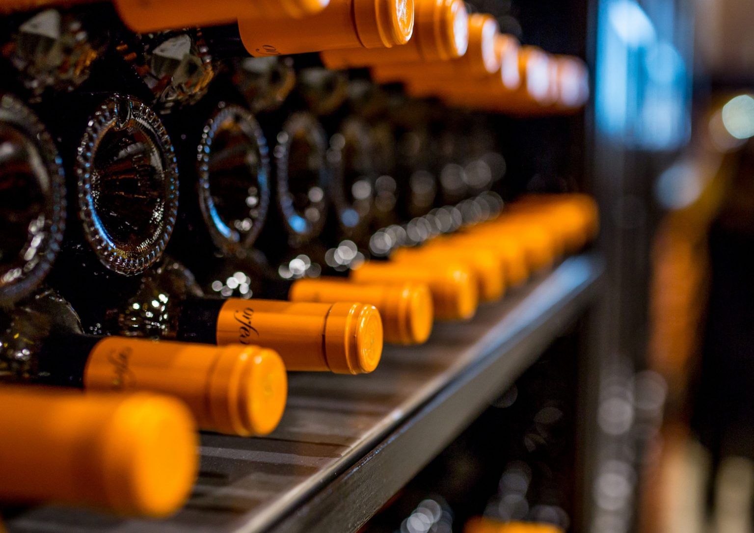 Cantine Paololeo adds Puglian organic winery to its portfolio - The ...