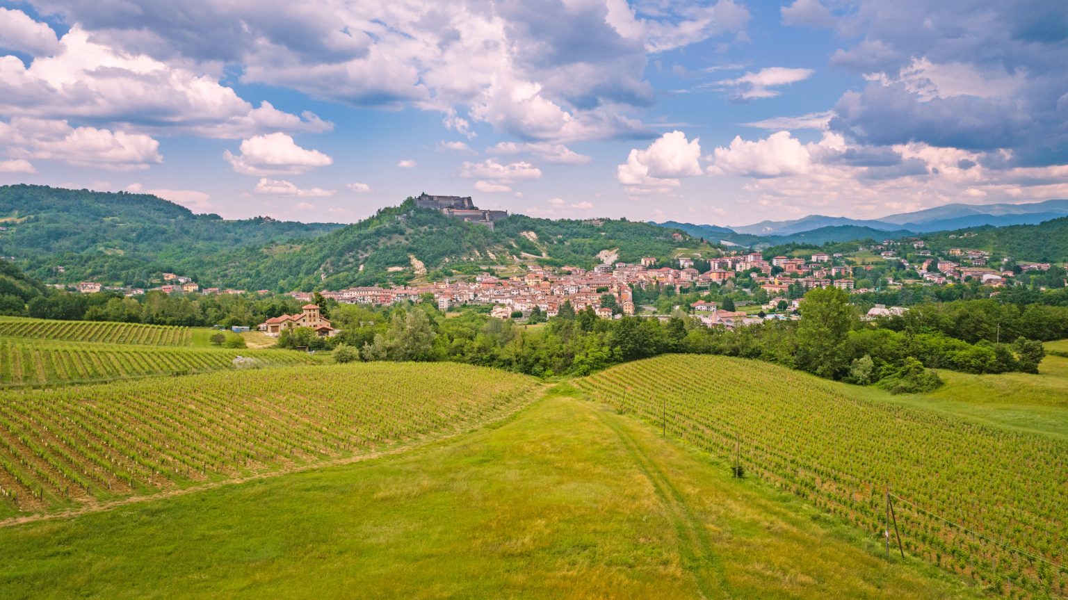 Gavi DOCG reveals its hidden depths