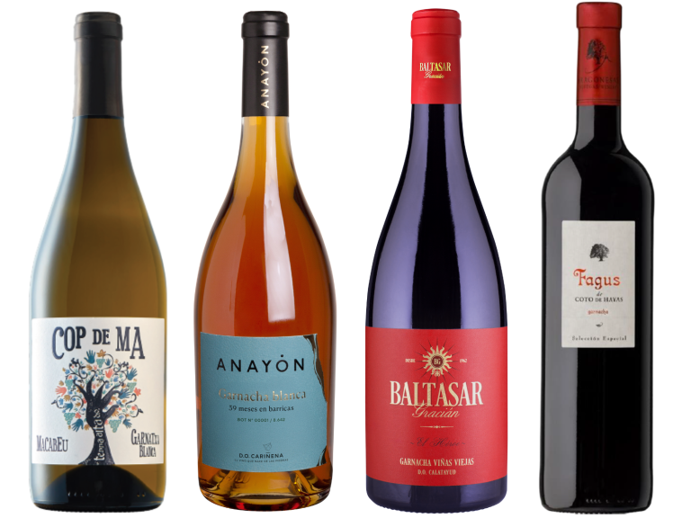 Why hometown hero Garnacha still matters in northeast Spain