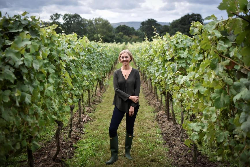 Nyetimber hopes for vintage year as harvest begins - The Drinks Business