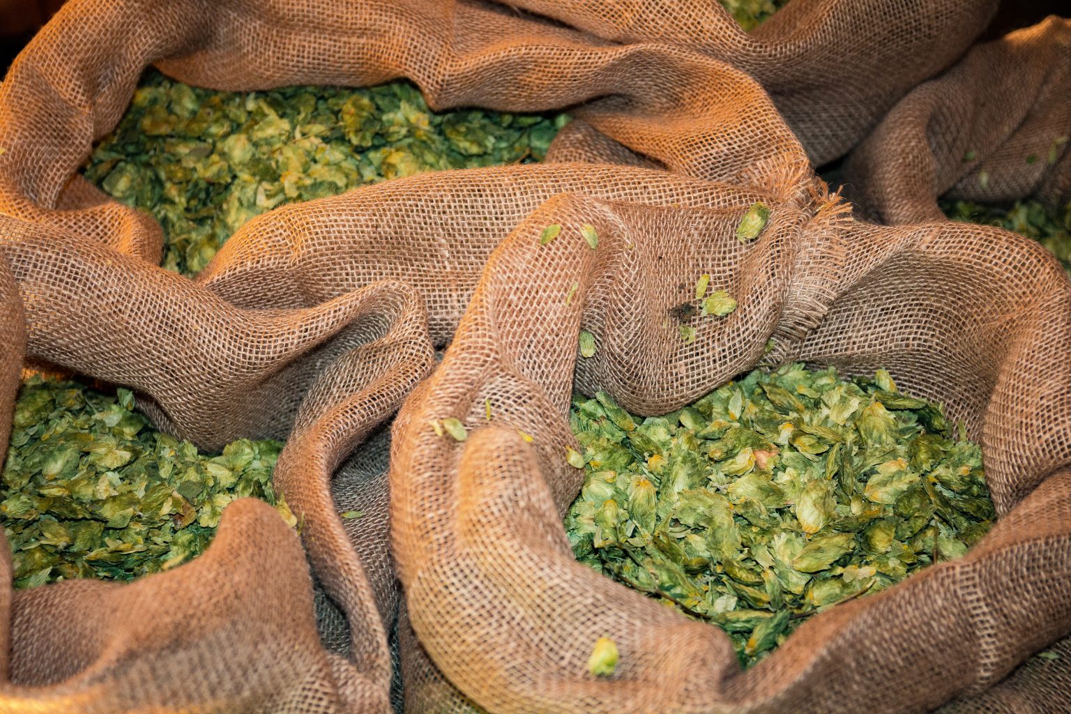 Lupulin Exchange and Yakima Chief Hops team up for European push