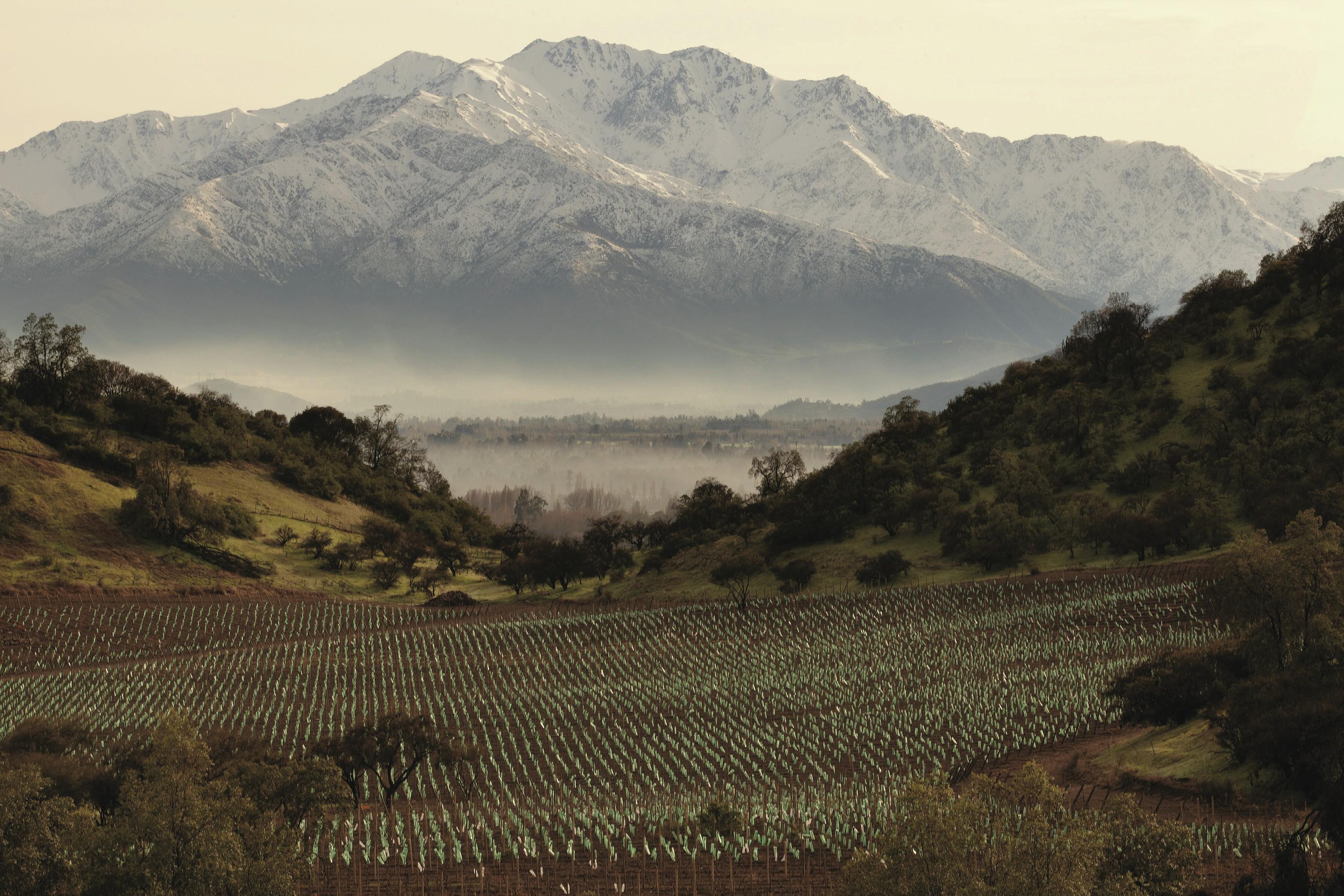 From top to bottom: Chile's quality revolution