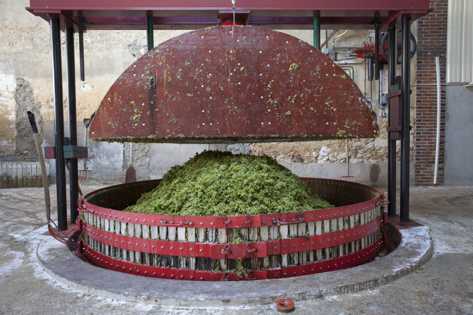 The db wine crime files 2025: Part I