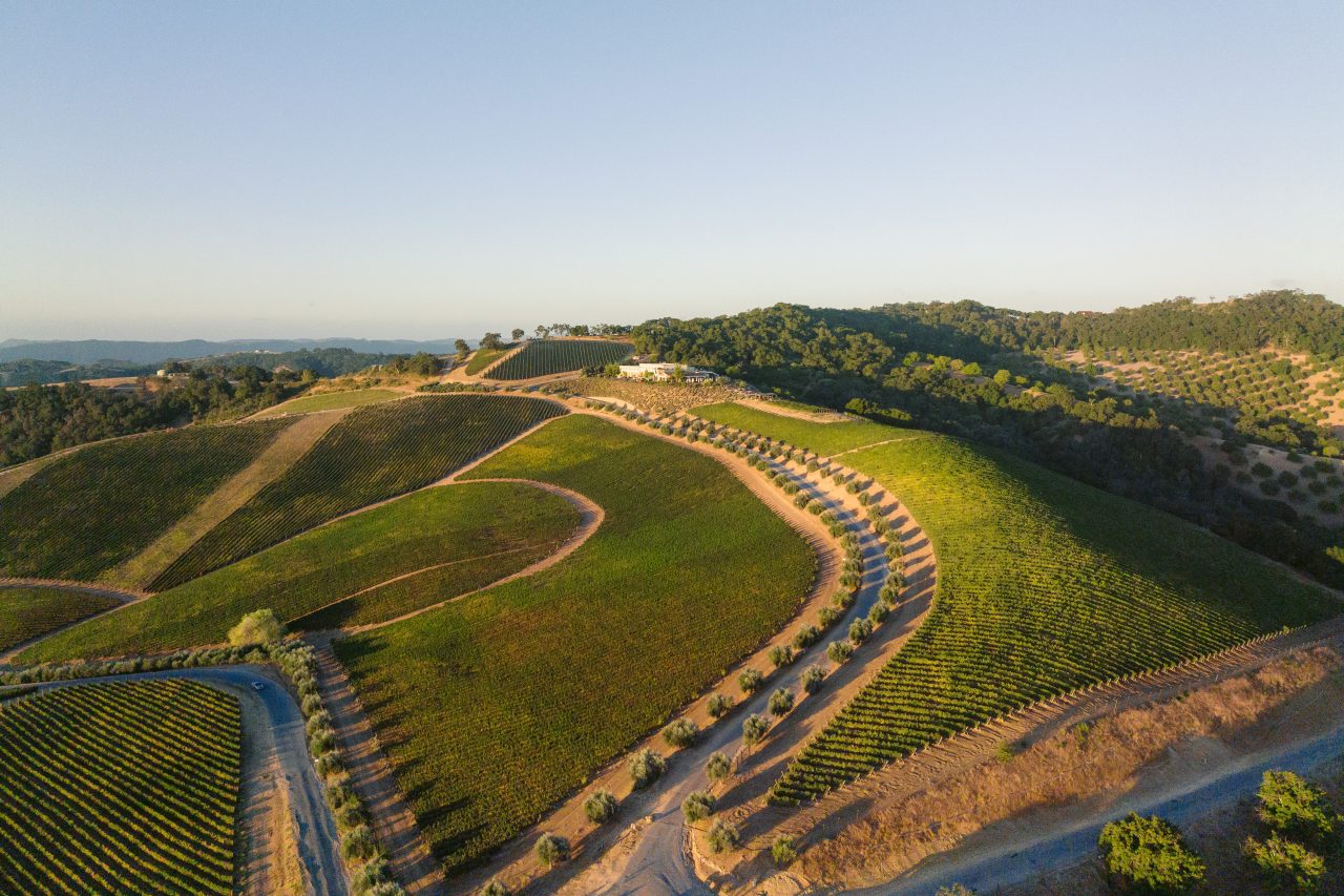 Daou Vineyards: building a billion-dollar wine business - The Drinks ...