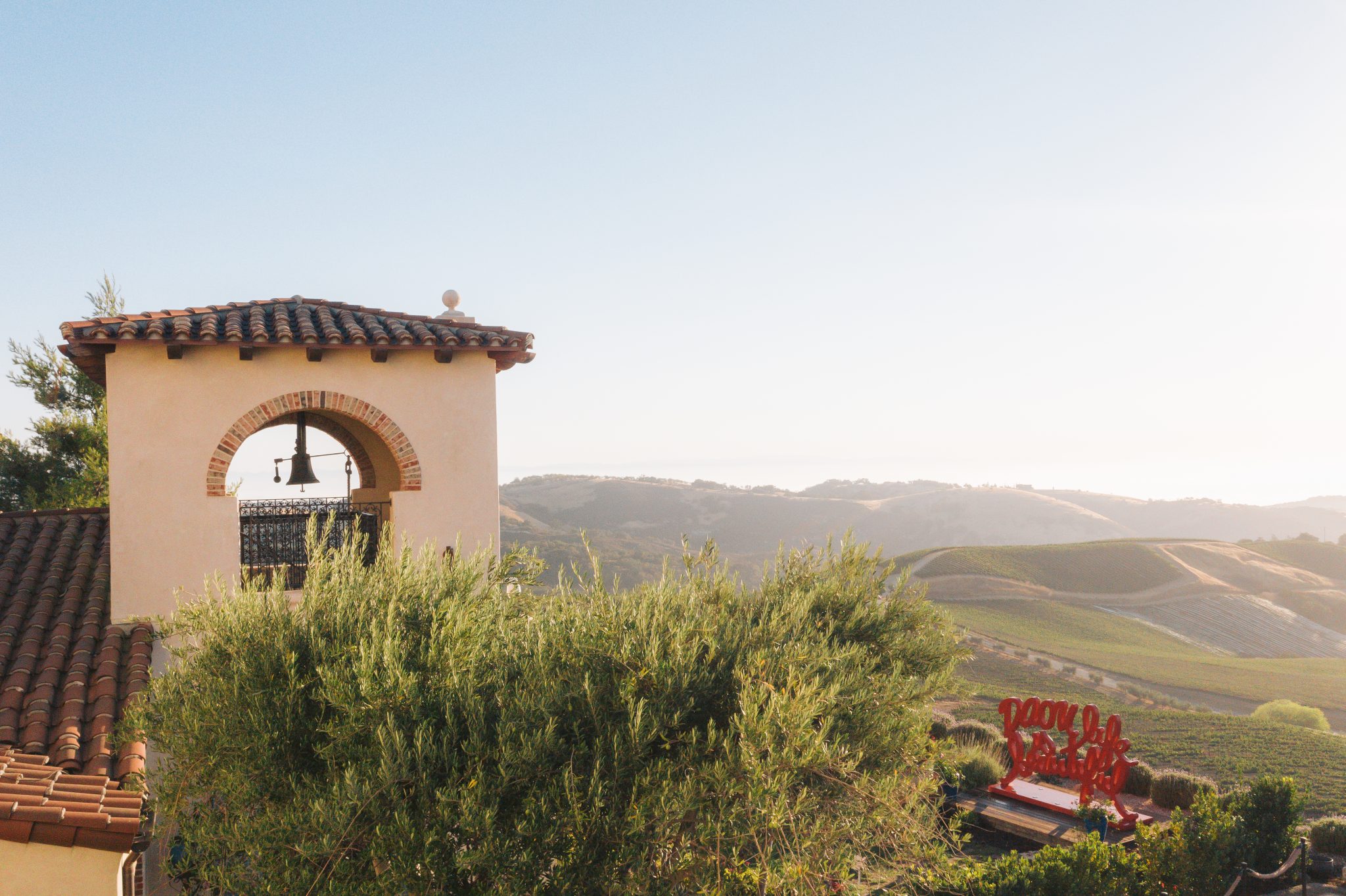 Daou Vineyards: building a billion-dollar wine business - The Drinks ...