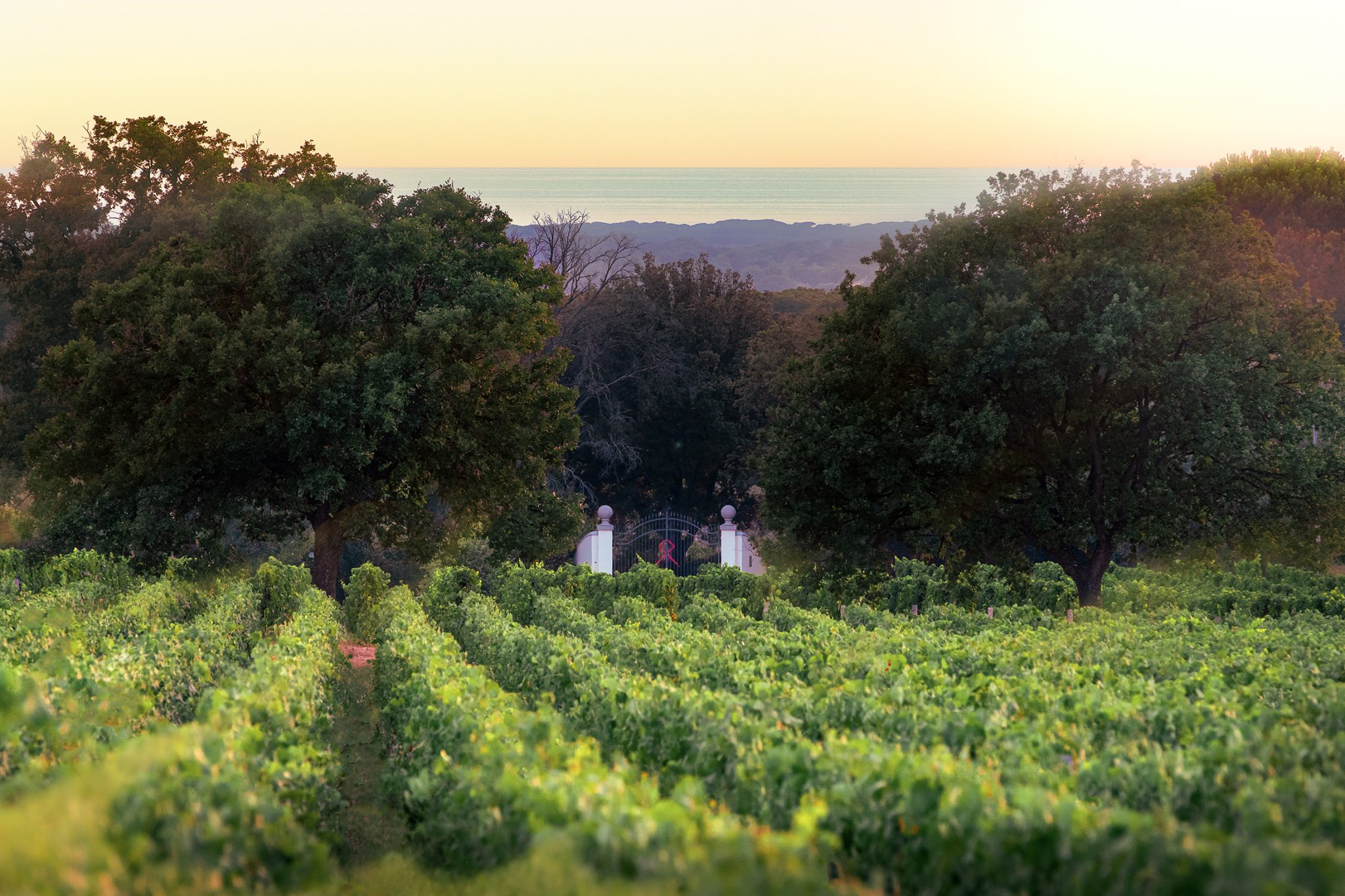 Orma and Oreno: ‘Sometimes we take a little bit of the fashion world’