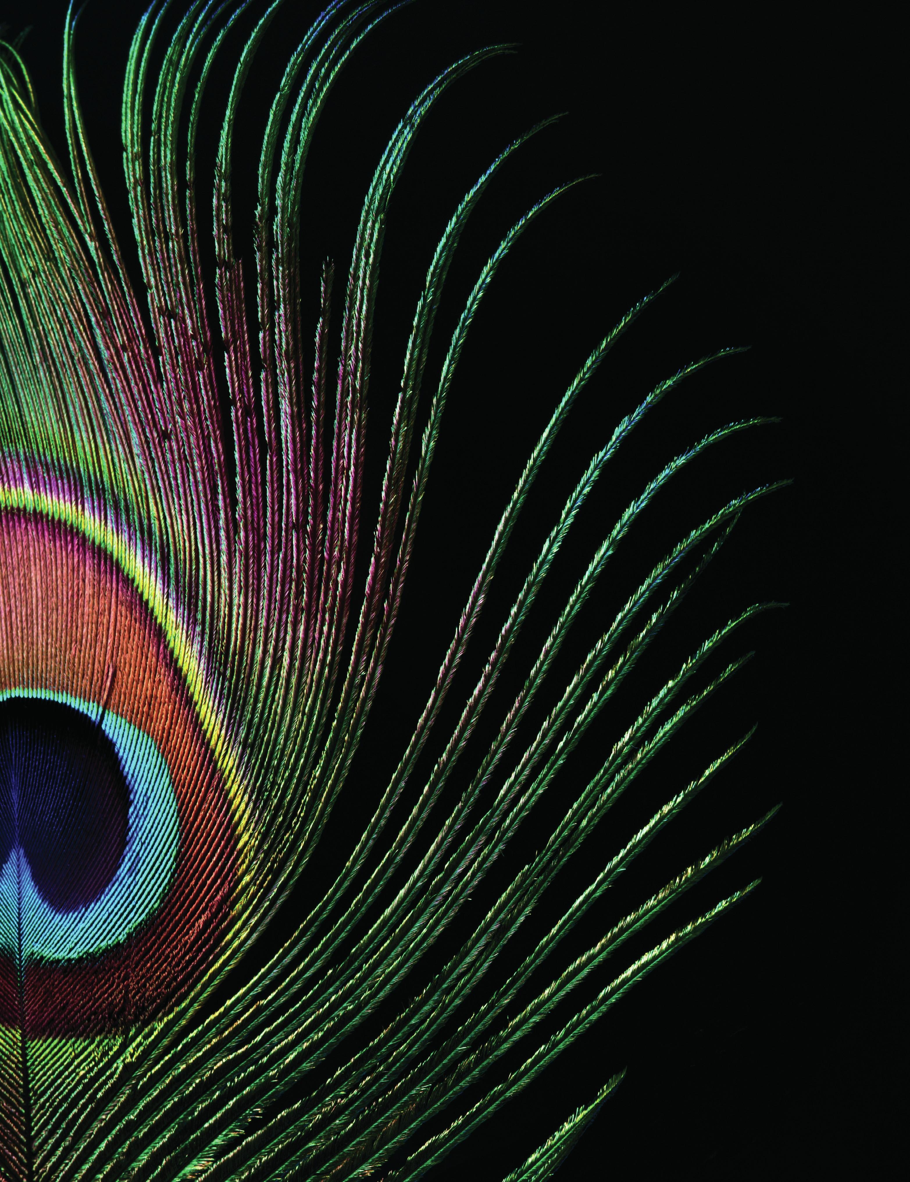 In fine feather: defining luxury across the wine world