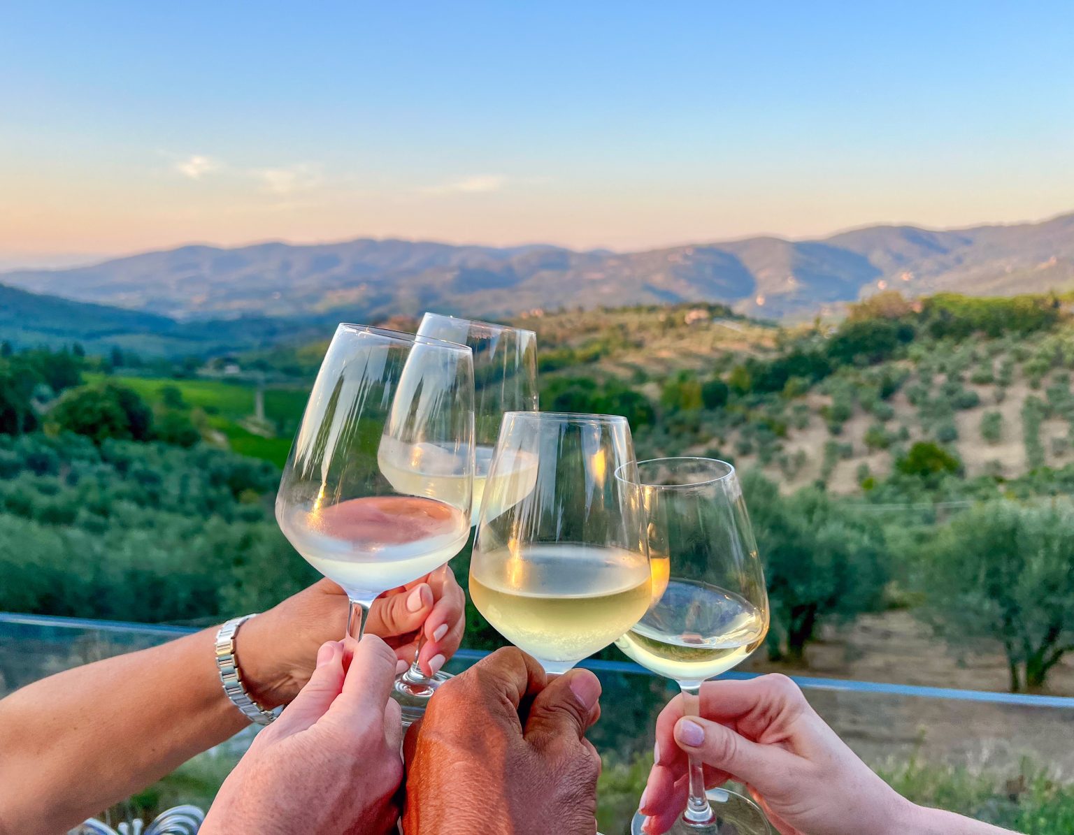 Napa Chardonnay was the DTC hero of 2025