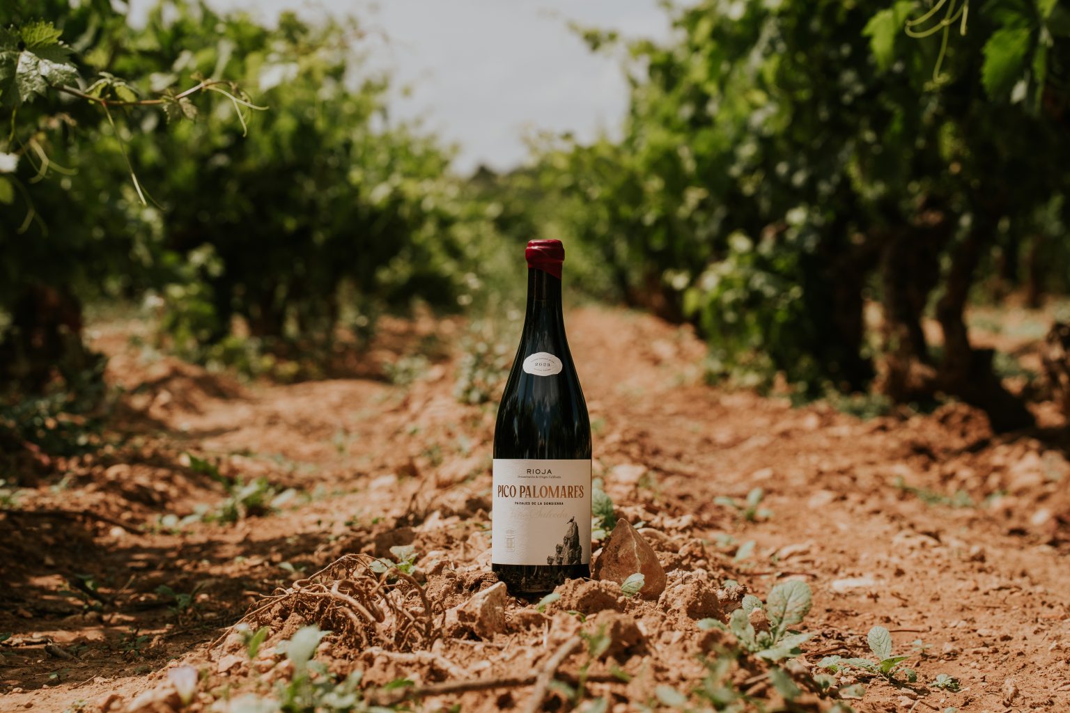 Perelada & Chivite brings ‘expressiveness to Wine Paris
