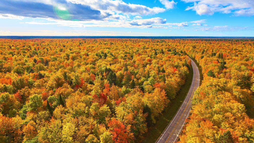 Cold-hardy grapes take root in Michigan’s Upper Peninsula