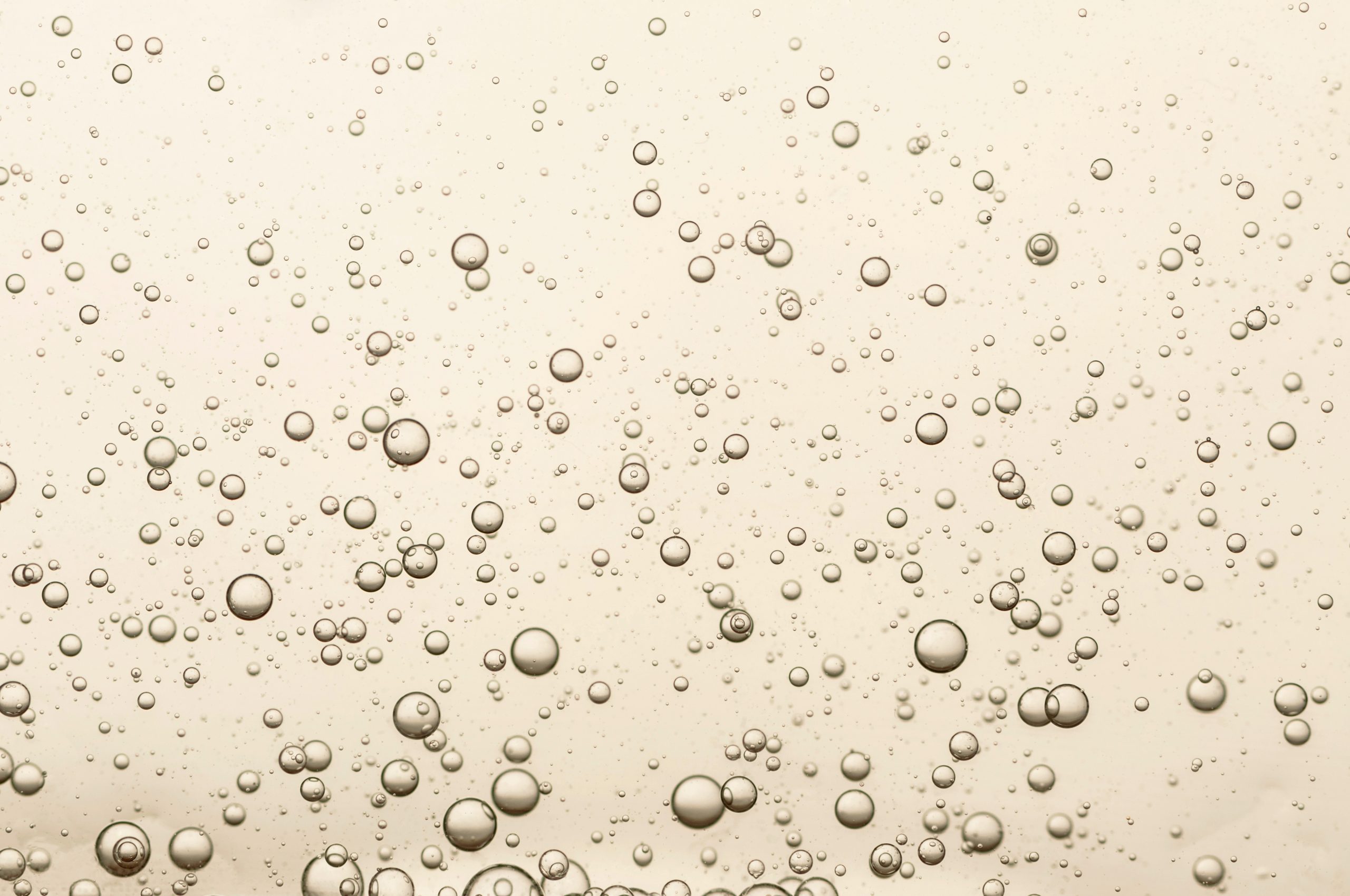 Researchers uncover the secret behind sparkling wine bubbles