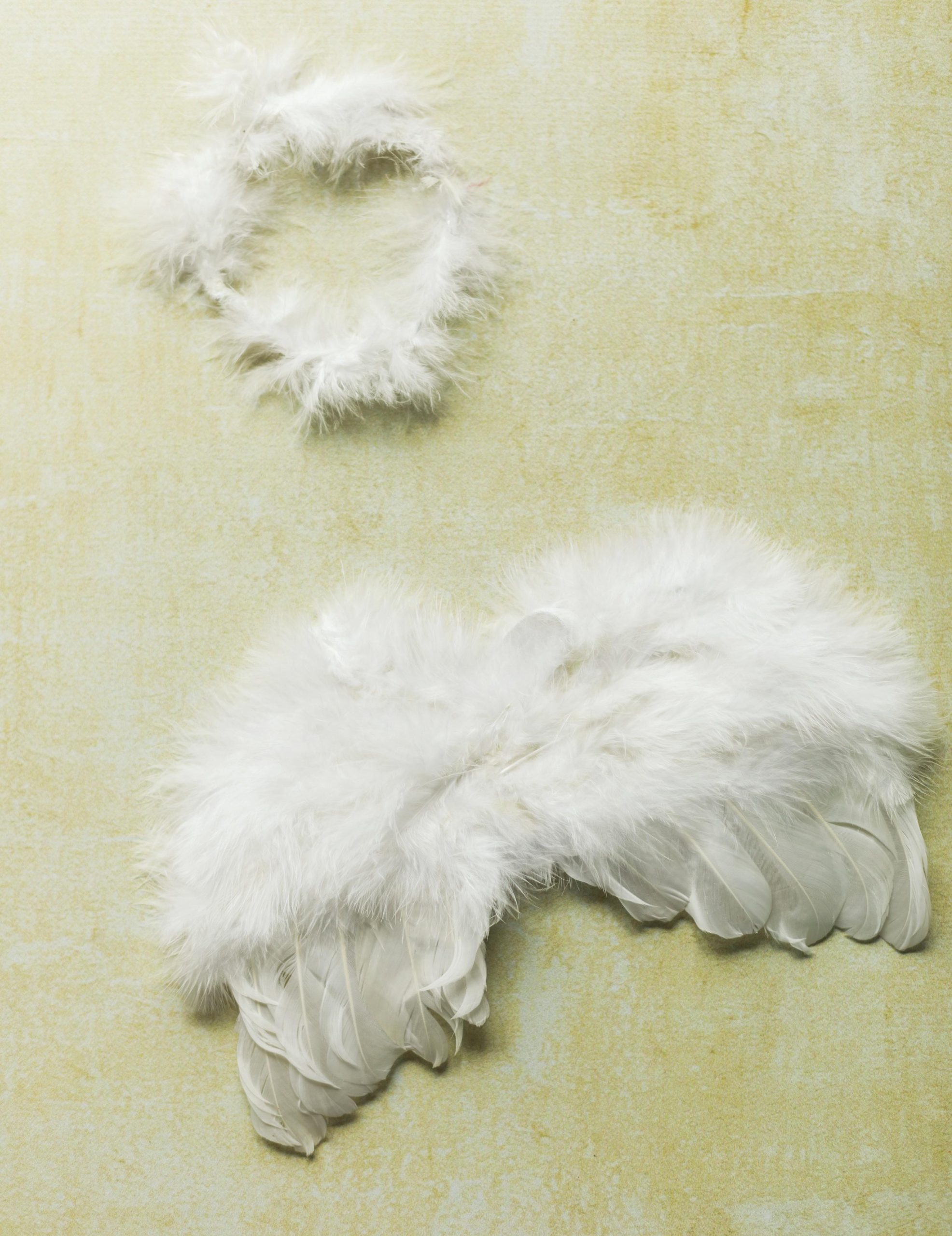 What does sustainable winemaking really mean in 2024?