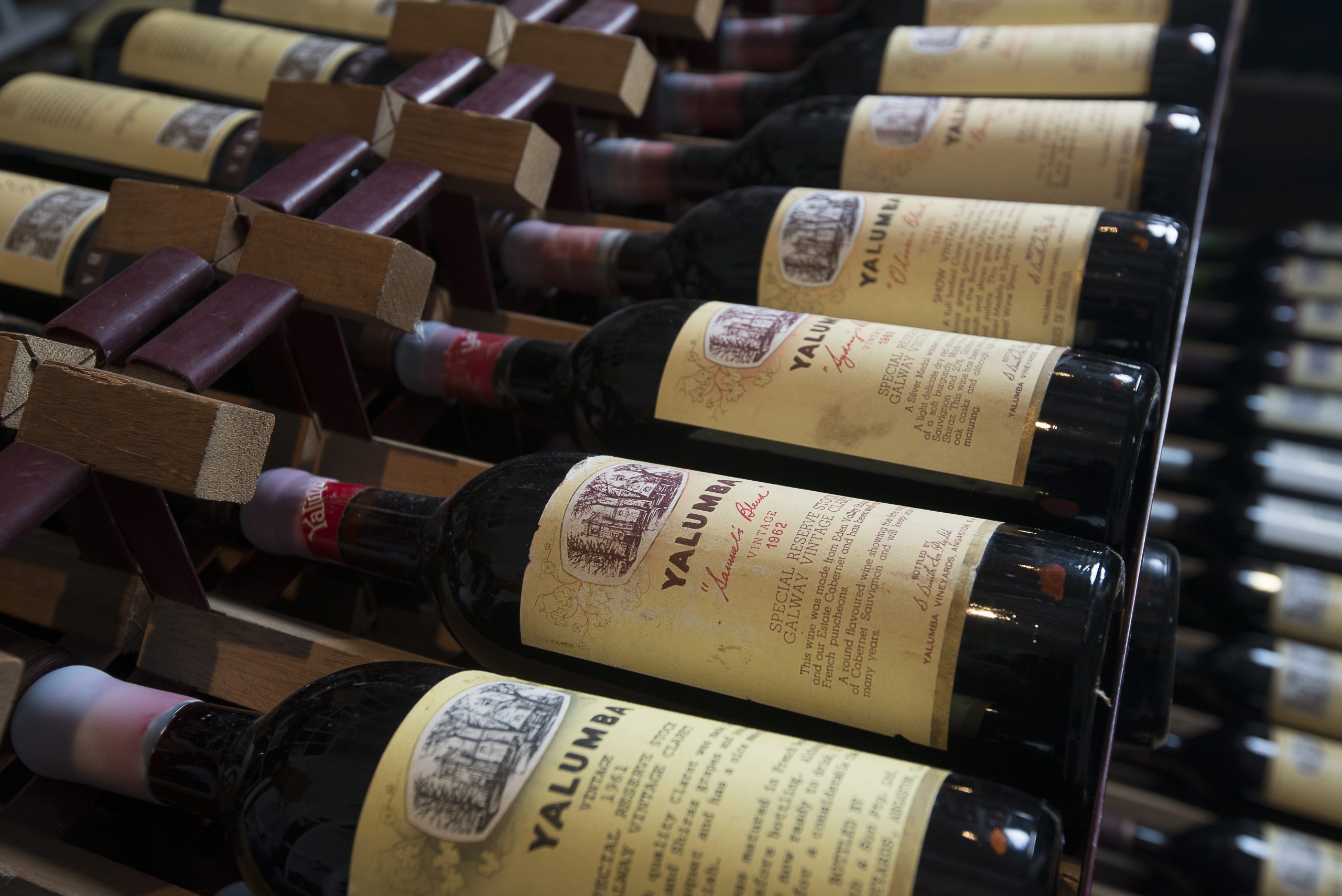 New world, old vines: Yalumba at 175 - The Drinks Business